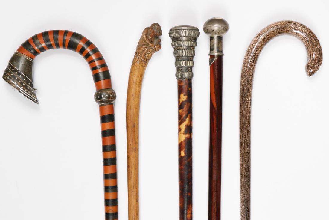 (5) Walking Sticks