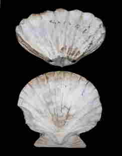 Architectural & Garden Elements for Sale in Online Auctions - Page 5