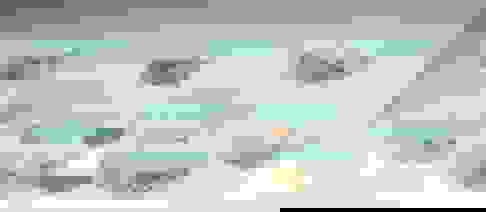 Chinese Porcelain Condiment Set Auction