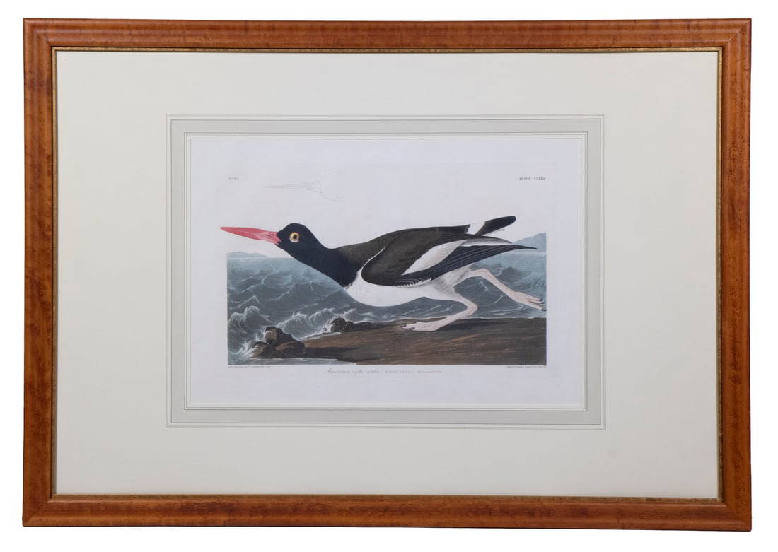 John James Laforest Audubon (ny/france, 1785-1851) Auction