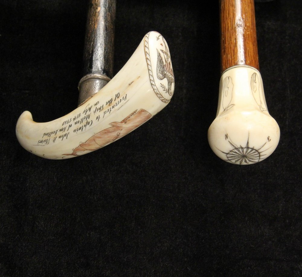 (2) MARITIME SCRIMSHAW CANES - Walrus Tusk Handle Cane