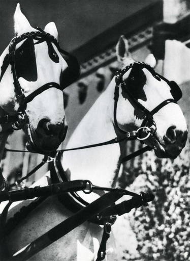 Yva [else Simon] Original Vintage Photogravure