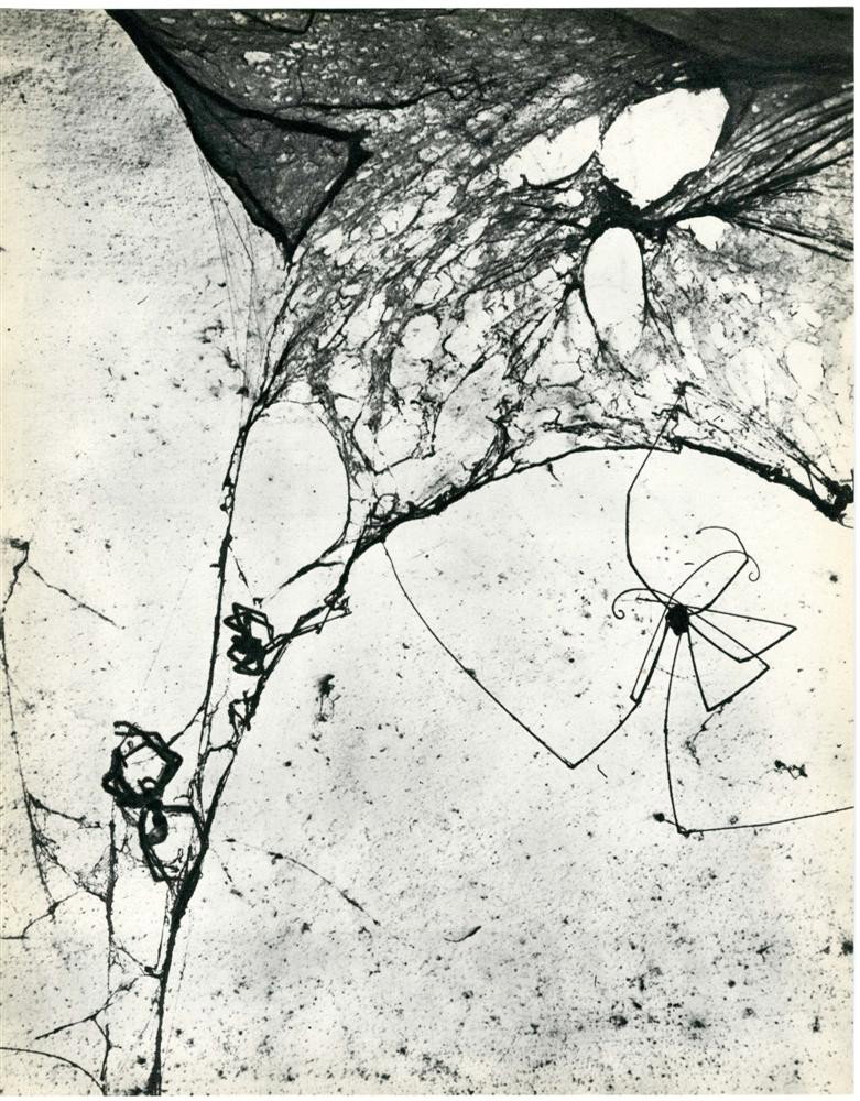 Willy Zielke Original Vintage Photogravure