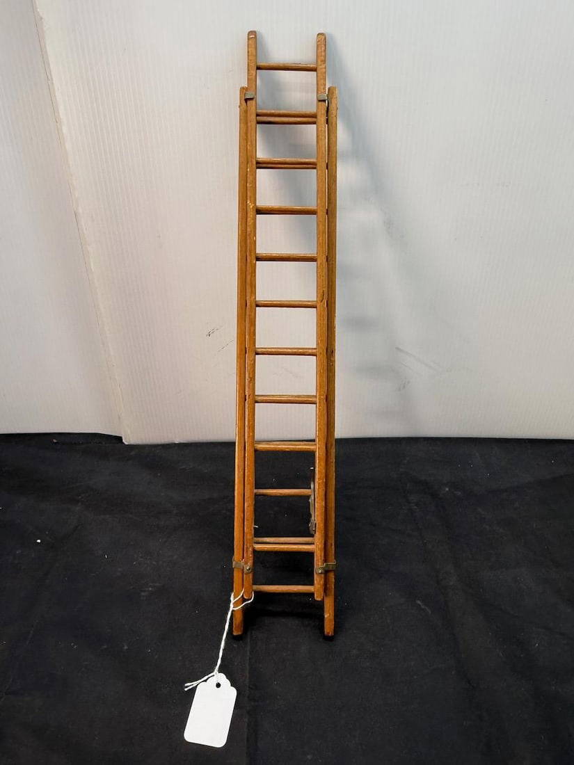 Salesman Sample Extension Ladder Auction