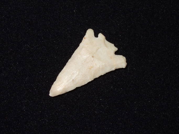 Rare Miniature 1 3/8" Carter Flint Ross Style Point