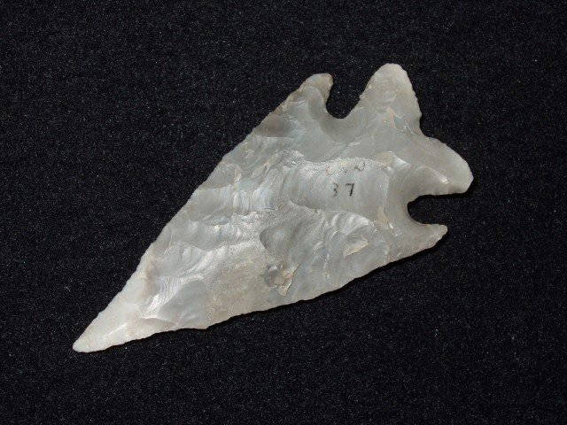 2 3/4" Texas/south Cenrtal Marcos Point