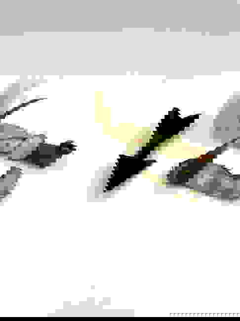 Collection Of Primitive Fish Hooks Including A Solomon Island Shell ...