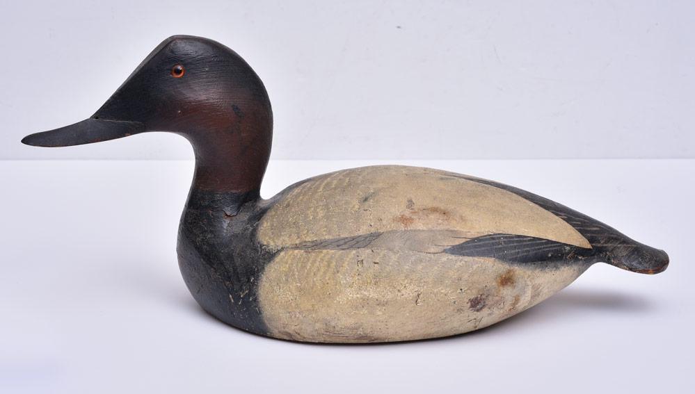 Spanish Duck Decoy
