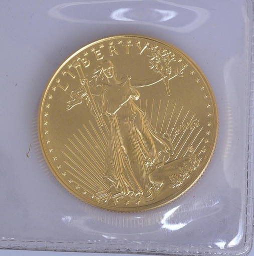 2005 $50 Gold Eagle Coin