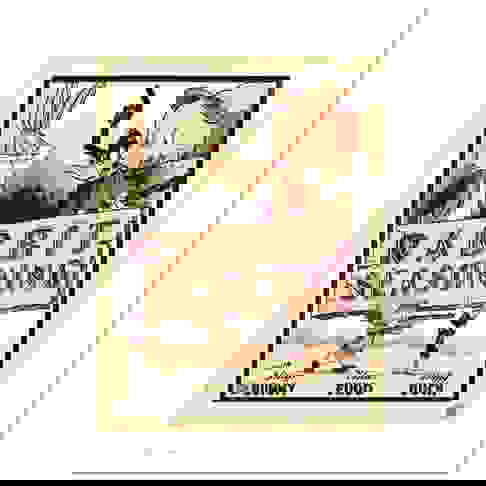 Rabbit Seasoning By Looney Tunes Auction