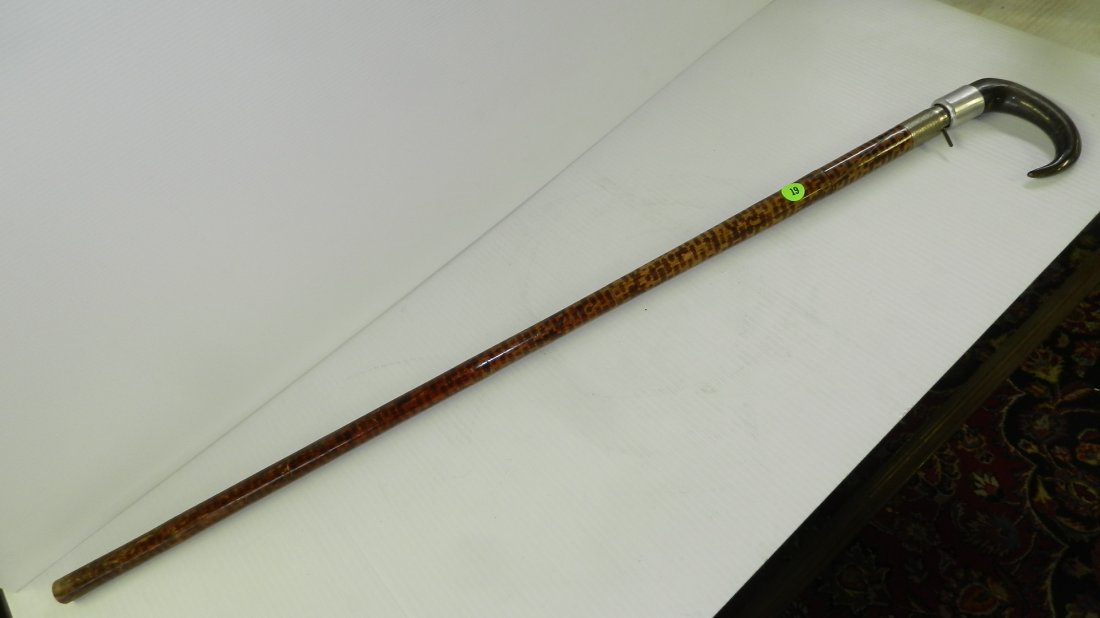 rare antique cane gun with horn handle, untested, 35