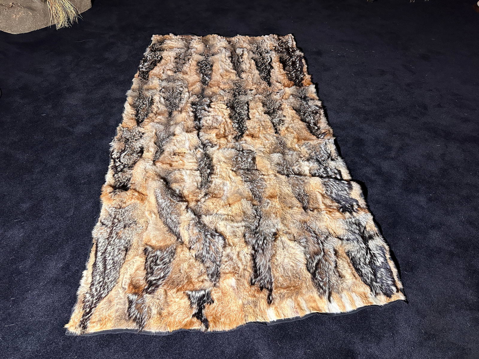 Black Backed Jackal Taxidermy Rug Auction