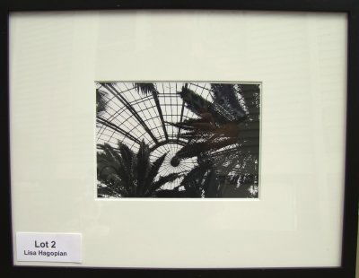 2: Lisa Hagopian, MI Photographer, Silver Gelatin print