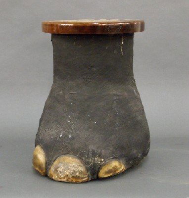 Elephant foot table
